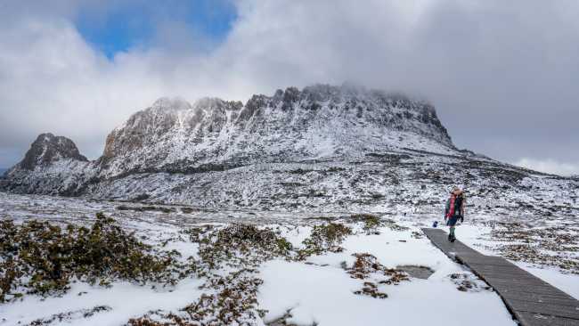 Overland Track Guided Walking Tour | Trek Tasmania's Overland Track