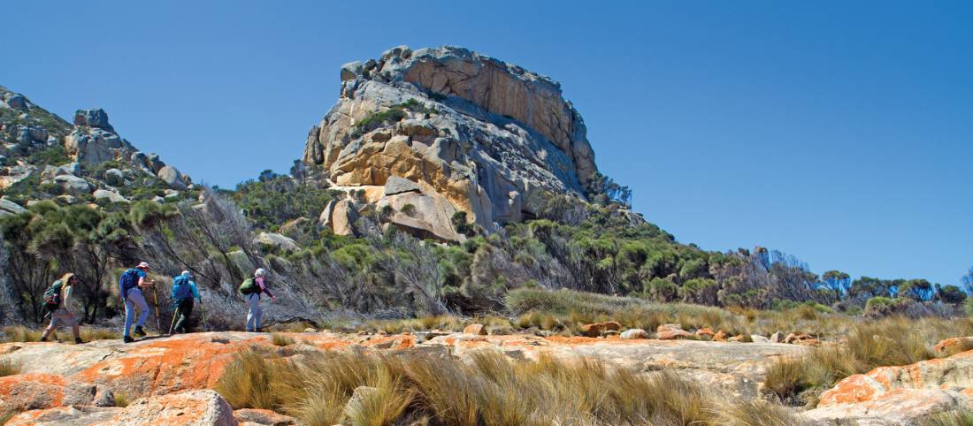 5 must-do experiences on Flinders Island | Tasmanian Expeditions