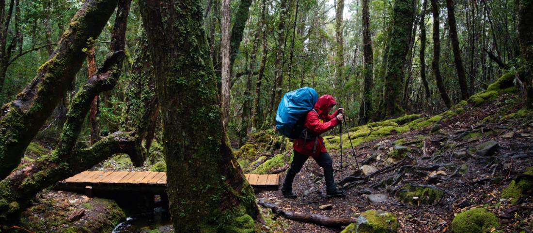 10 reasons to trek the Overland Track | Tasmanian Expeditions