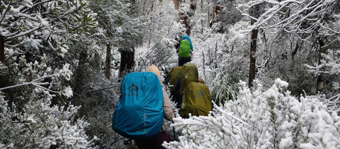 Tassie doesn’t close down in winter - it transforms | Tasmanian E