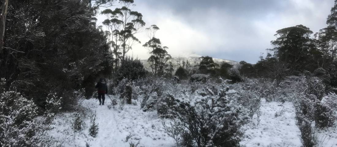 Overland Track Weather and Climate | Tasmanian Expeditions